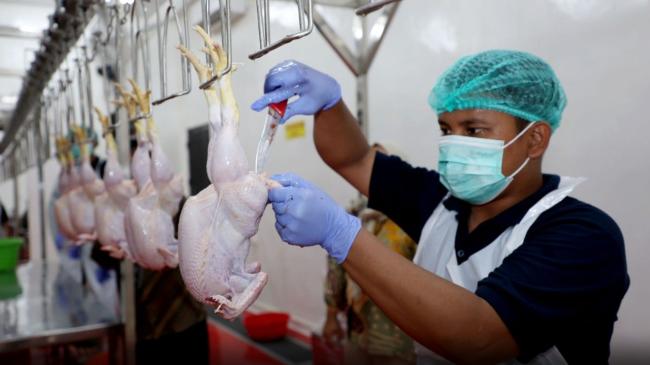Pemkot Surabaya Hadirkan RPHU Berstandar NKV dan Bersertifikasi Halal ...