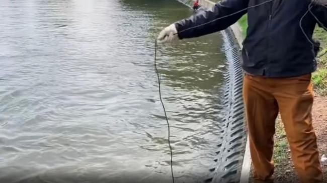DLH Surabaya Sebut Penurunan Dissolved Oxygen di Sungai Jadi Penyebab ...
